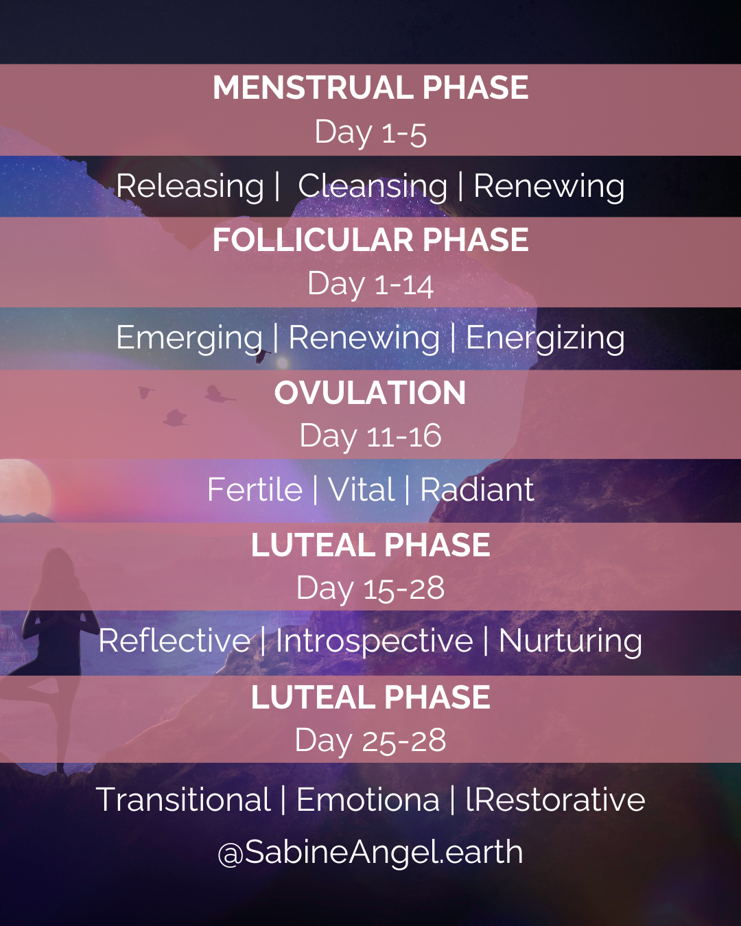 Menstrual Cycle